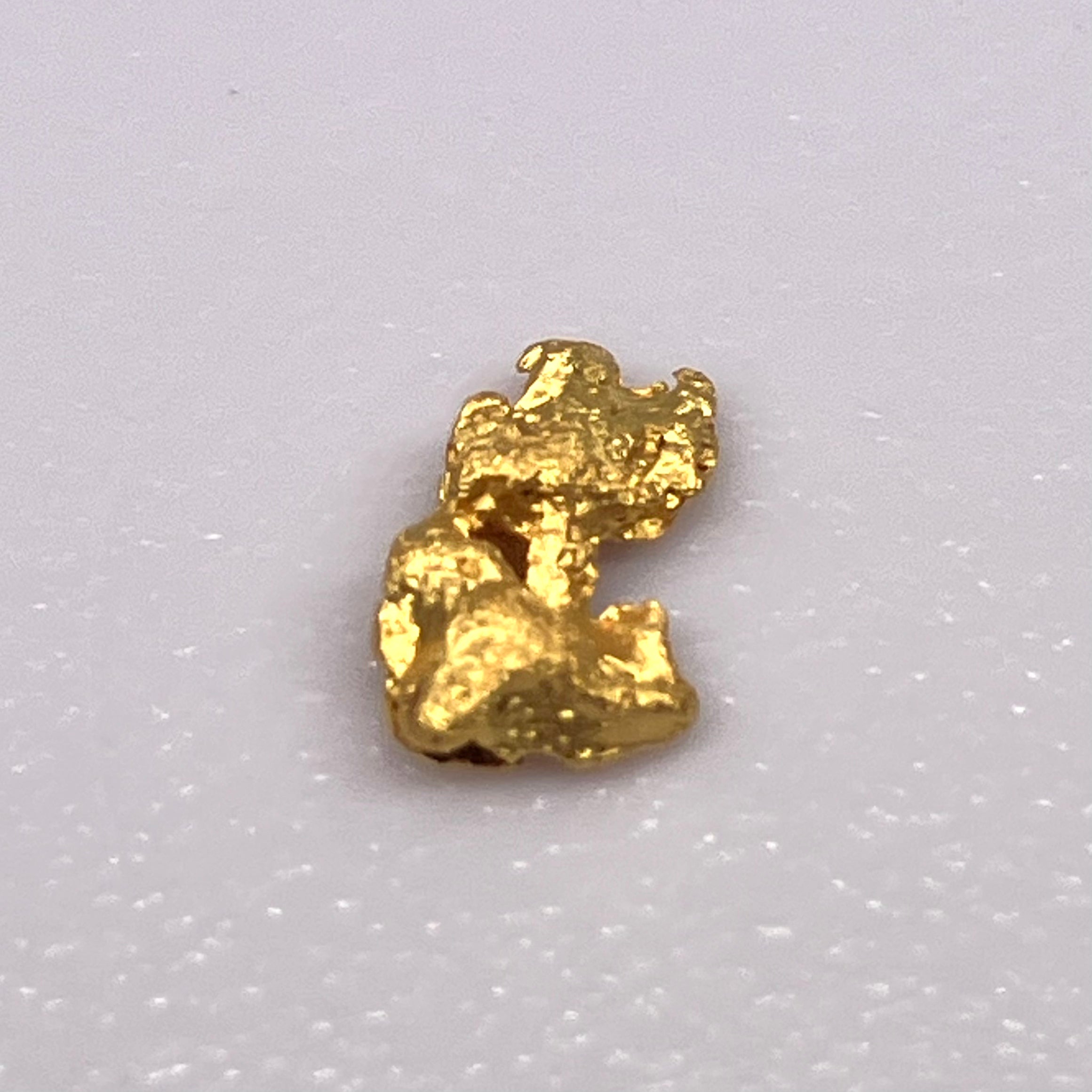 Outback Gold Fever
