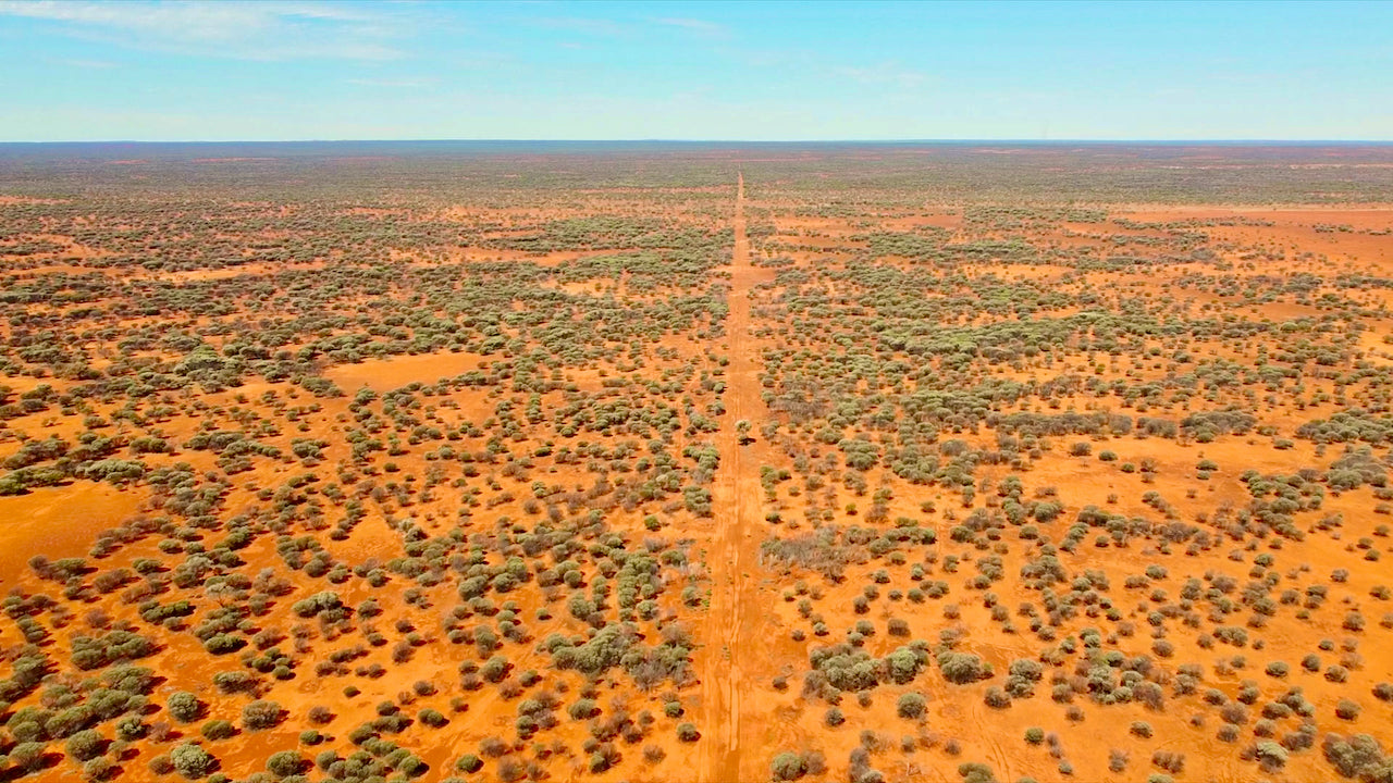 Outback Gold Fever